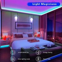 Quality Music Sync Voice Control LED Strip Lights Color Changing Timing App Controlled for sale