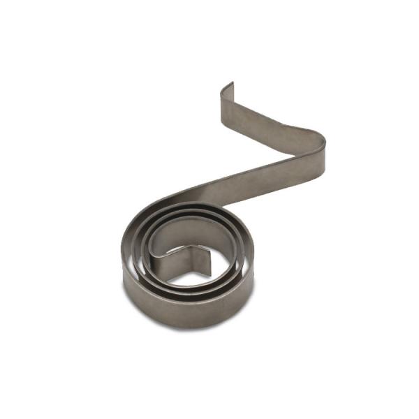 Quality SUS304 Constant Force Coil Spring for sale