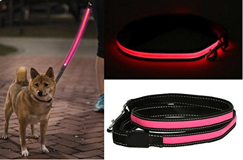 Quality Comfort Grip Handle LED Pet Leash High Visibility Industrial Strength Materials for sale