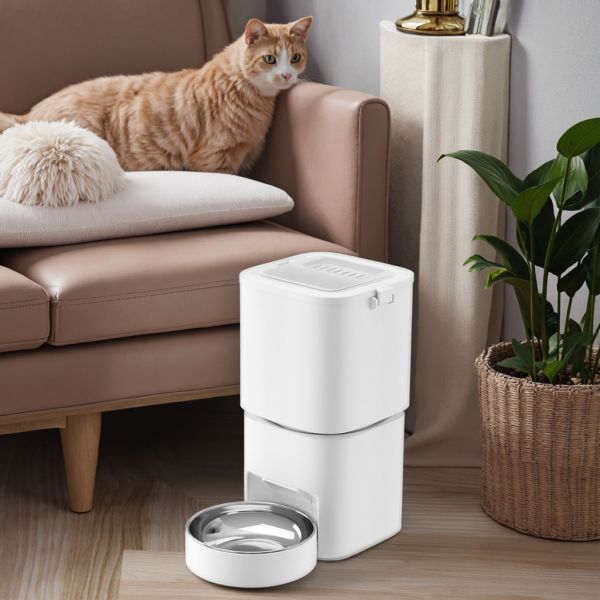 Quality Smart Automatic Cat Dog Pet Feeder Large 6 Liter Capacity Eco-Friendly Solid Plastic Waterproof IPX5 Battery Powered for sale