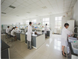 China Factory - Sino Green Agri-Biotech Co., Ltd.
