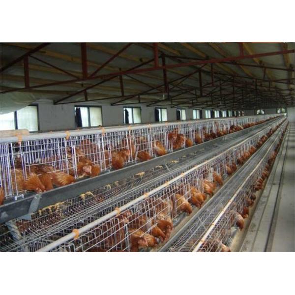 Quality Q235 Hot Dipped Galvanized H Type Layer Chicken Cage For Farm for sale