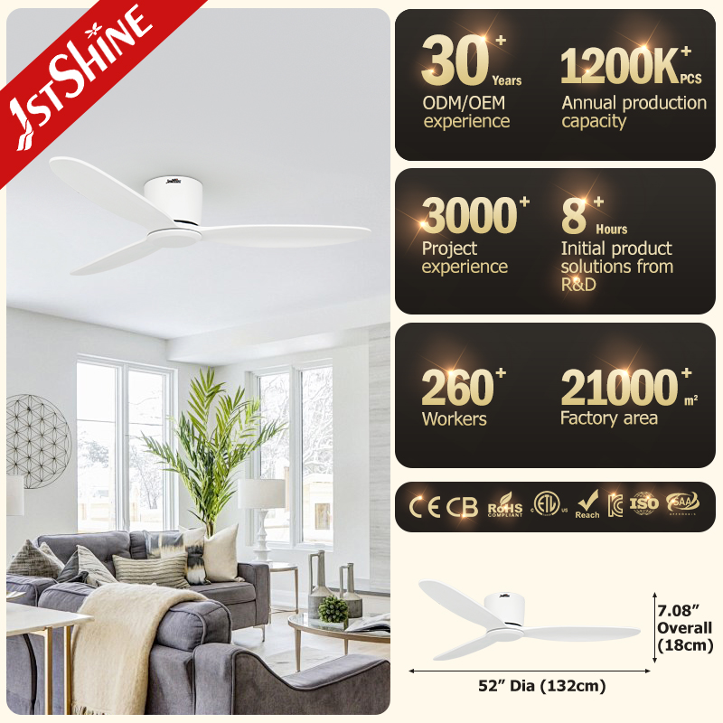 ceiling fan