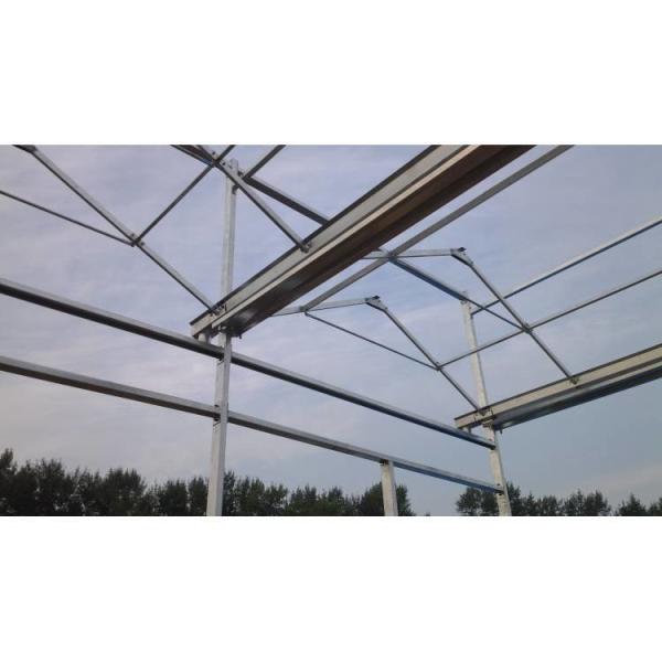 Quality High Strength Agricultural Poly Tunnel Green House/Tomato Greenhouse for sale