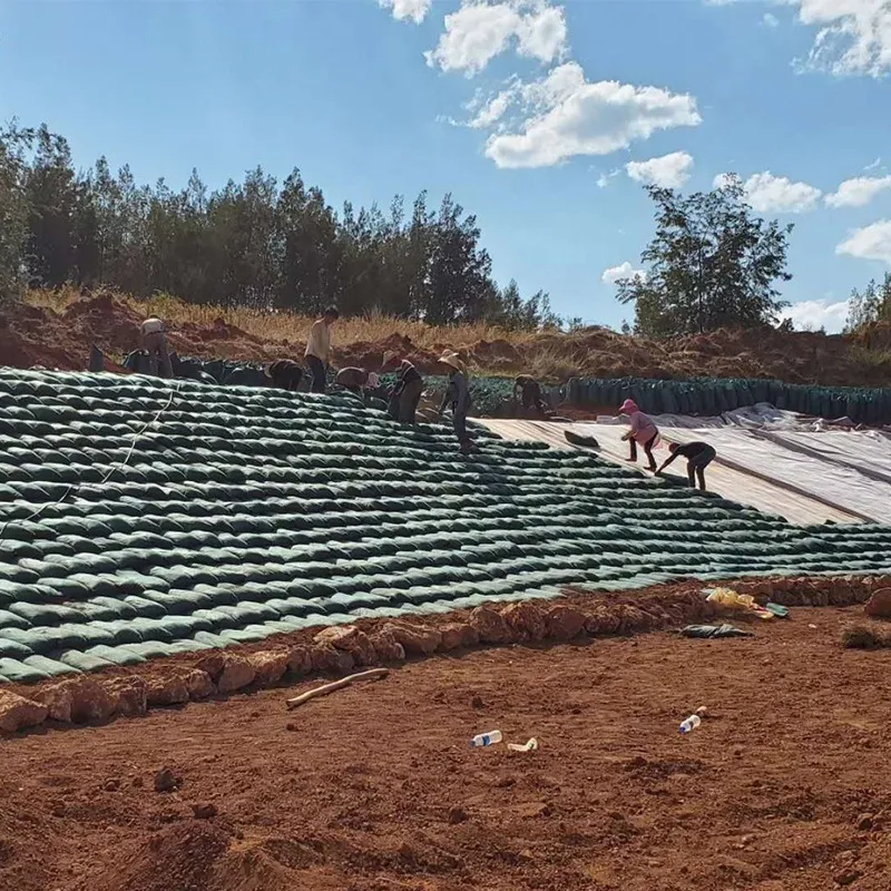 Nonwoven Geobag Polyester/PP Geobag for Slope Protection and Grass Dam to Protect Ecological Environment