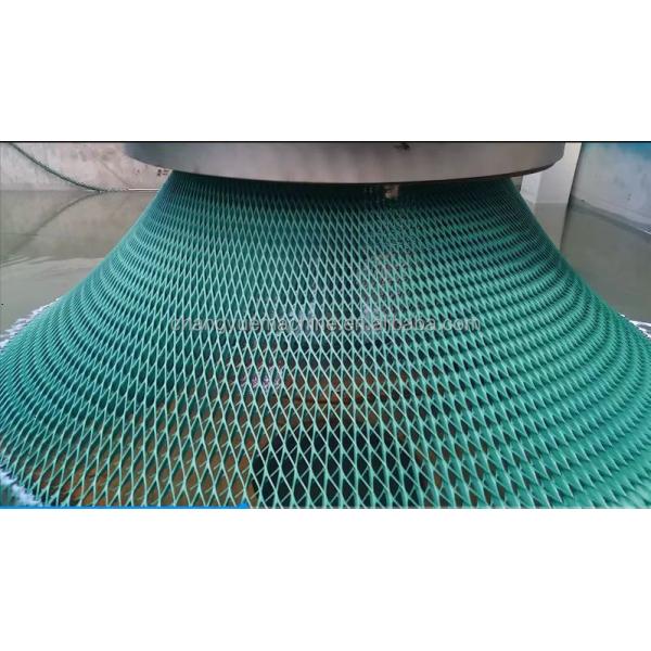 Quality HDPE/PP Plastic Processed 2D/3D Geo Net Making Machine with 38CrMoALA Screw for sale