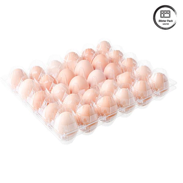 Quality Vacuum Formed 30 Egg Storage Trays Disposable Transparent PET Plastic Containers for sale