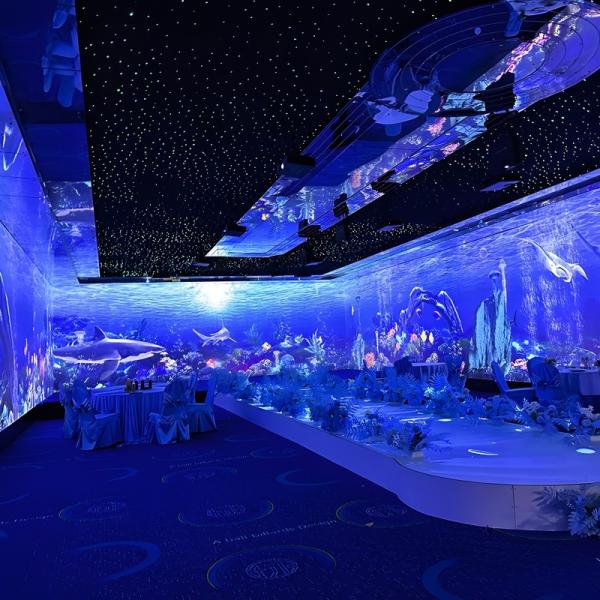 Quality Northern Lights 3D Holographic Projection Interactive Gaming Projector for sale