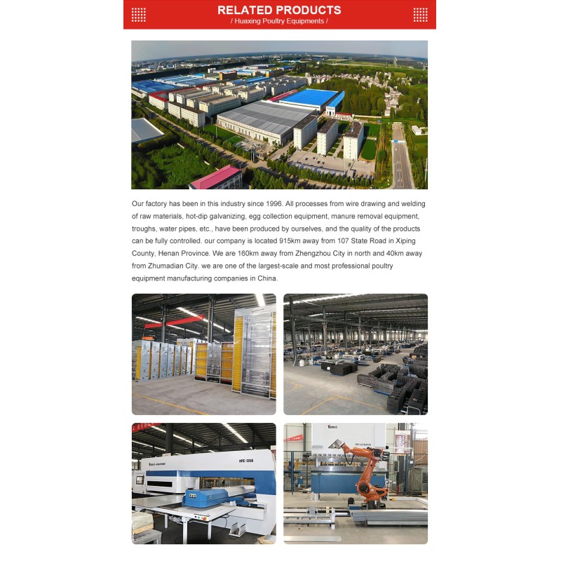 H TYPE LAYER CAGE (12).jpg