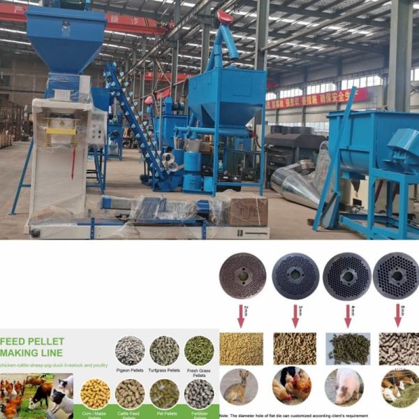 Quality 2 Tons/Hour Feed Pellet Production Line For Animal Poultry Feed for sale