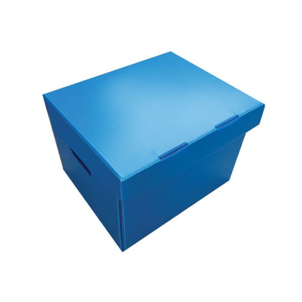 Quality File Storage Foldable PP Corrugated Plastic Box for sale
