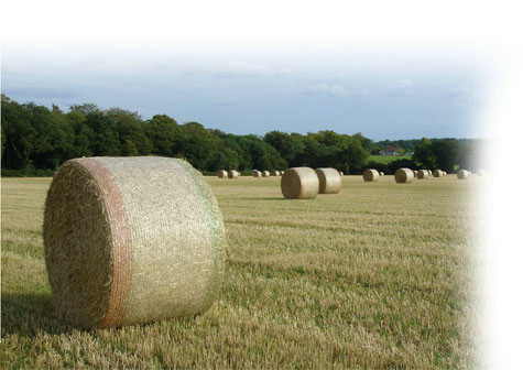 Quality High Tensile Hdpe Agriculture Bale Pallet Net Wrap For Storage Hay for sale