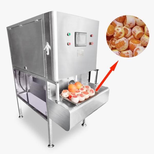 Quality 304 Stainless Steel Fruit And Vegetable Processing Machine English Operation for sale