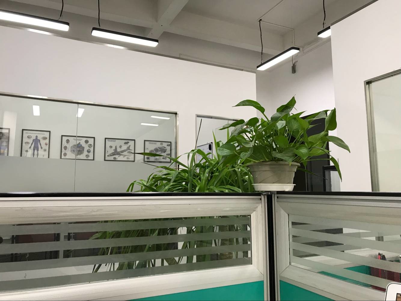 China Factory - SHANGHAI FAMOUS TRADE CO.,LTD