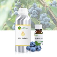 Quality High Quality Arabic Brand Perfume Essence Oil For Perfume Making for sale