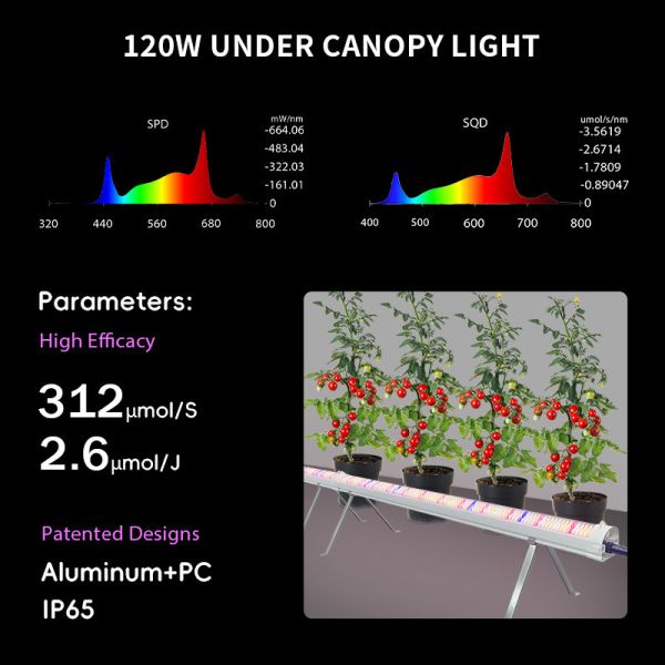 Quality Customized Full Spectrum Dimmable 120W 150W 4Ft Grow Light Under Inter Canopy for sale