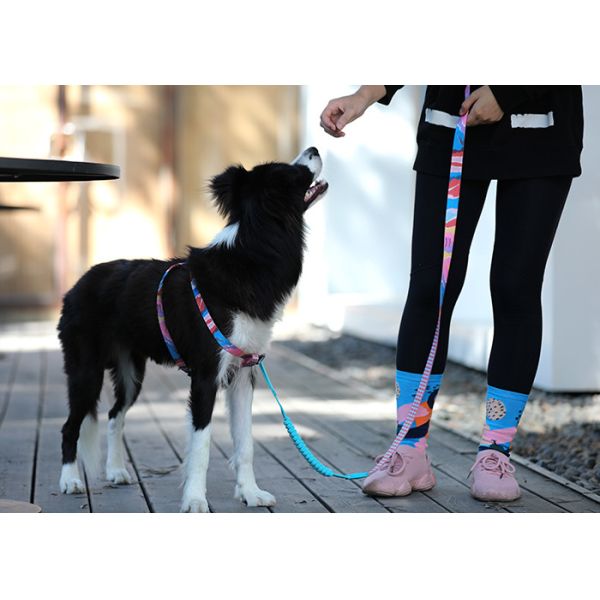 Quality Front Connect Easy Walk Dog Harness Small Medium for sale