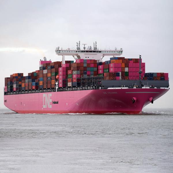 Quality China To Brunei Cargo International Bulk Shipping Services / Breakbulk Shipping for sale