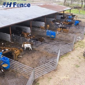 Quality Unbending Cattle Panel: Solid Welded Grid Construction Withstands Maximum for sale