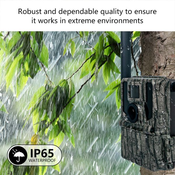 Quality 4G Cellular Wildlife Forest Trail Cameras for sale