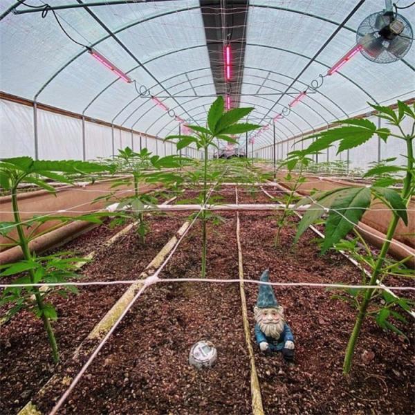 Quality 30ft Double Layer Film Greenhouse Light Deprivation Length 30-60m for sale