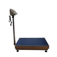Quality Platform Bench Scale for sale