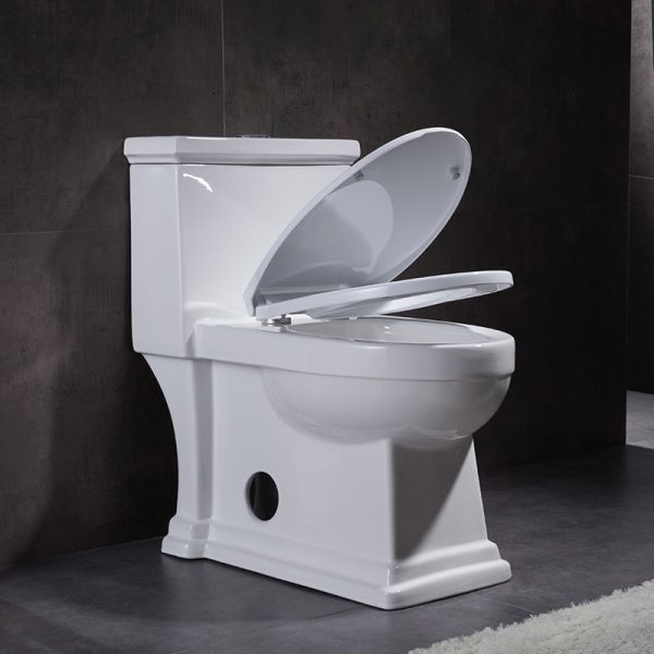 Quality 1.28gpf 4.8lpf Dual Flush single piece toilet bidet for sale