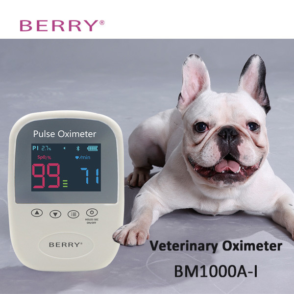 Quality Multiparameter Veterinary Patient Monitor Pulse Rate Heart Rate for sale
