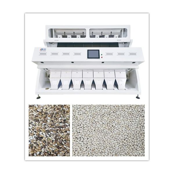 Quality 7 Chutes Agriculture White Bean Grain Color Sorter Great Accuracy for sale