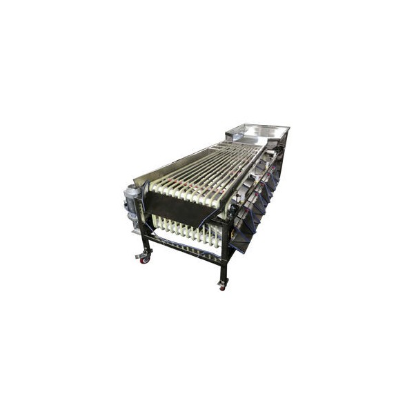 Quality Fruit Avocado Oranges Dates Size Grading Sorting Machine Mutifunction Automatic for sale
