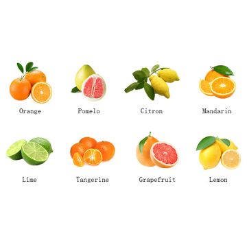 Quality Fully Automatic Orange Juice Processing Line Machine For Citrus Processing for sale