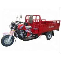 Quality Agriculture 150w 200cc 3 Wheel Bike With Gas Motor for sale