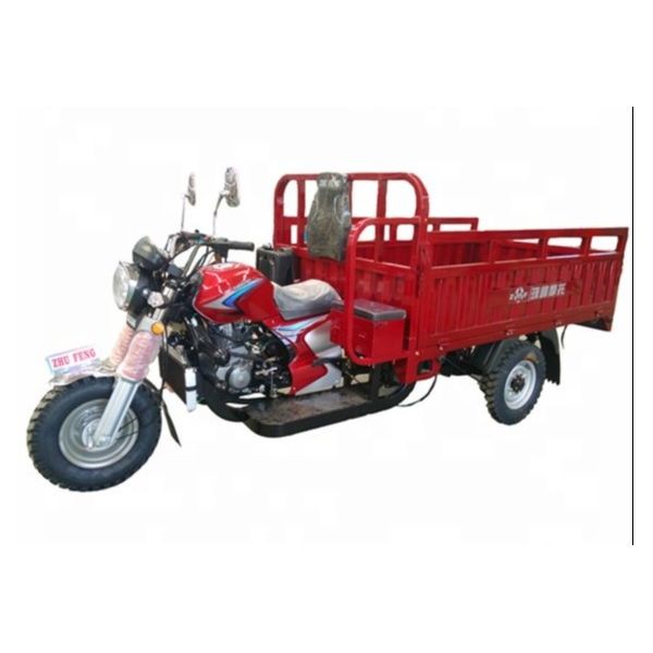 Quality Agriculture 150w 200cc 3 Wheel Bike With Gas Motor for sale