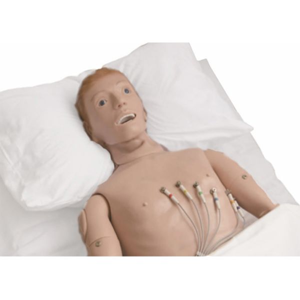 Quality High Tech Elastic PVC Electrocardiogram Auscultation Simulator for Hospitals for sale