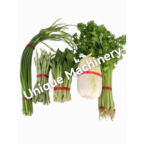 Quality Vegetable Bundle Packaging Machine 304 Stainless Steel Incense Tape Binding for sale