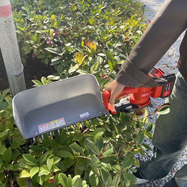 Quality Battery Tea Plucking Harvesting Machine Electric Tea Harvester 21v for sale