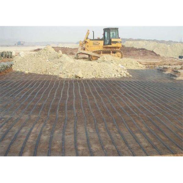 Quality Road Reinforcement Black High Strength HDPE Plastic Mesh for sale