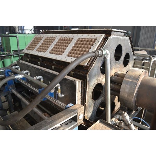 Quality Wine Tray / Shoe Tray / Egg Tray Production Line Rotary Forming Type Compact Design for sale