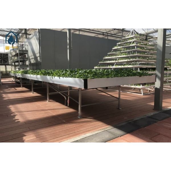 Quality Plastic Hydroponic Ebb And Flow Table UV Protective Hydroponics Flood Table Customized for sale