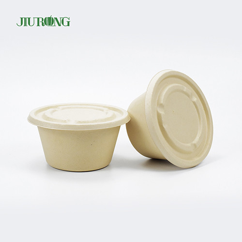 Quality Eco Friendly Sugarcane Food Container Biodegradable Bagasse Takeaway Boxes 600ml for sale