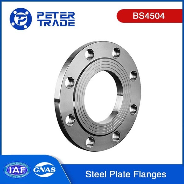 Quality BS4504 CODE101 A105/Q235 PN10 Carbon Steel Blank Flange Plate Flange DN10 - DN3000 for Tube and Pipelines for sale