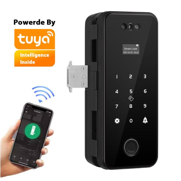Quality Black Glass Door Lock Tuya Smart Lock Home Security 3D Face Digital Fingerprint for sale