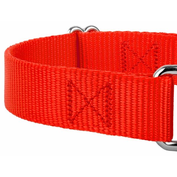 Quality 2 Layers Soft Nylon Dog Collar Comfortable Martingale Loop For Dog Walking for sale