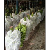 Quality Hobby Gardening Agriculture Non Woven Fabric 320cm Width Anti Mildew for sale