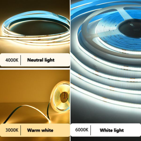 Quality 12w/M Adjustable Color Temperature LED Strip Lights 24V 400 Leds/M 5mm Single for sale