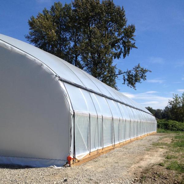 Quality 30ft Double Layer Film Greenhouse Light Deprivation Length 30-60m for sale