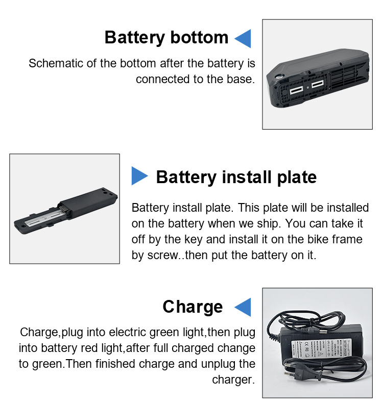 Replacement Hailong 48V 1000W Electric Vehicle Battery with Charger