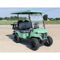 Quality shock absorption performance beach buggy golf cart vehicle nev lsv for sale