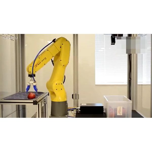Quality LR Mate 200iD Industrial Small Fanuc Robot Arm 6 Axis for sale