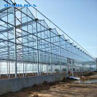Quality Multi Span Galvanized Steel Frame Glass Covering Venlo Glass Greenhouse for sale